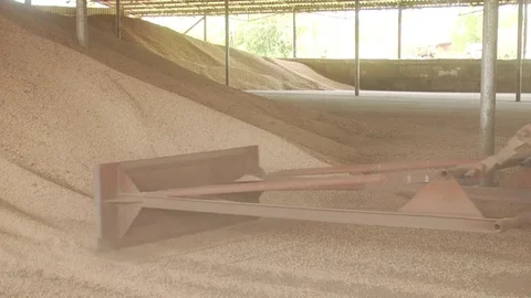 Stock Picked Stock Videos – Royalty-Free HD & 4K Videos