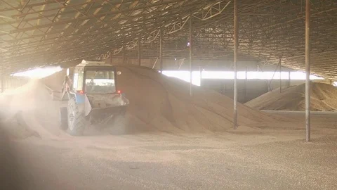 Stock Picked Stock Videos – Royalty-Free HD & 4K Videos