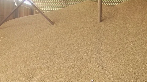 Stock Picked Stock Videos – Royalty-Free HD & 4K Videos