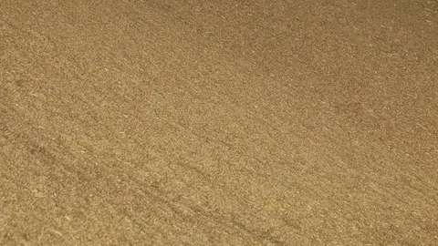 Stock Picked Stock Videos – Royalty-Free HD & 4K Videos