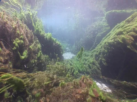 freshwater scenery river lake underwater... | Stock Video | Pond5