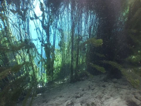 Freshwater Scenery Stock Video Footage | Royalty Free Freshwater ...