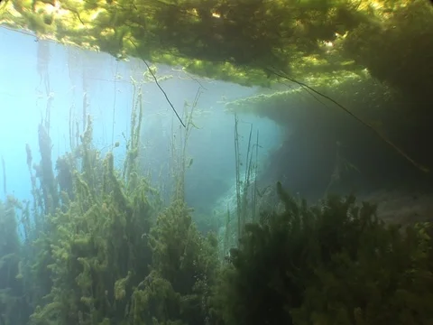 Freshwater Scenery Stock Video Footage | Royalty Free Freshwater ...