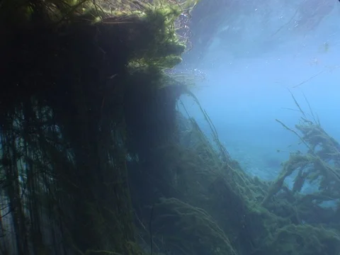 Freshwater Scenery Stock Video Footage | Royalty Free Freshwater ...