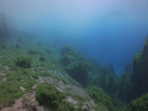 Freshwater Scenery Stock Video Footage | Royalty Free Freshwater ...