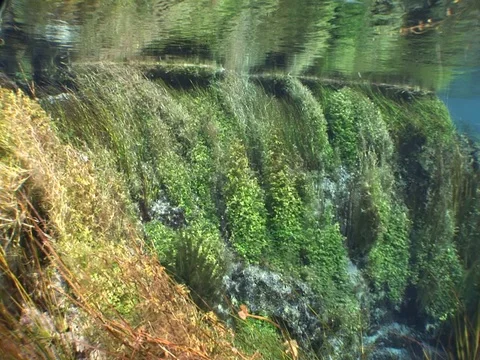 Freshwater Scenery Stock Video Footage | Royalty Free Freshwater ...