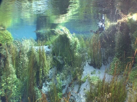 freshwater scenery river lake underwater... | Stock Video | Pond5