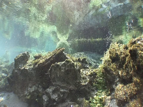 freshwater scenery river lake underwater... | Stock Video | Pond5