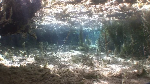 Freshwater Scenery Stock Video Footage | Royalty Free Freshwater ...