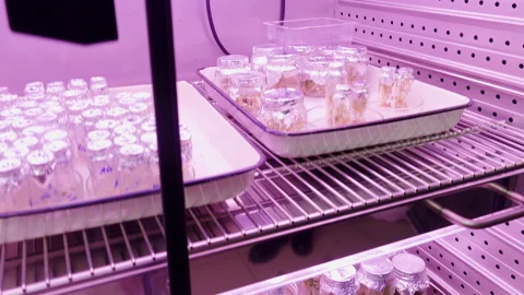 Fridge at the laboratory with empty flas... | Stock Video | Pond5