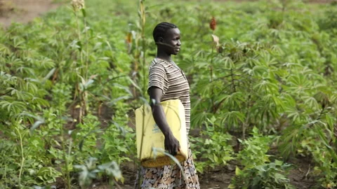 Friendly African woman going to fetch wa... | Stock Video | Pond5