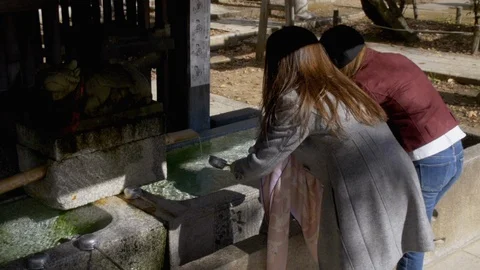 Friends Washing Stock Videos – Royalty-Free HD & 4K Videos | Pond5