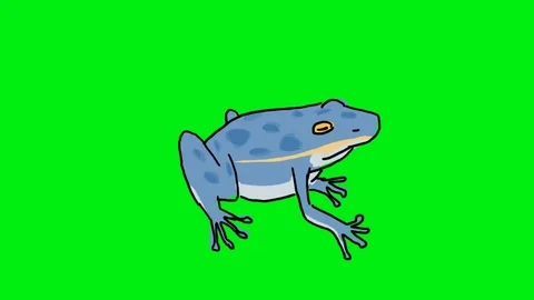 Frog - Hand Drawn - Green Screen | Stock Video | Pond5