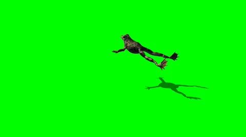 frog jump - green screen | Stock Video | Pond5