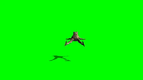 Jump Green Screen Stock Video Footage | Royalty Free Jump Green Screen ...
