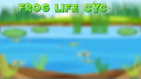 Frog Life Cycle Animation | Stock Video | Pond5