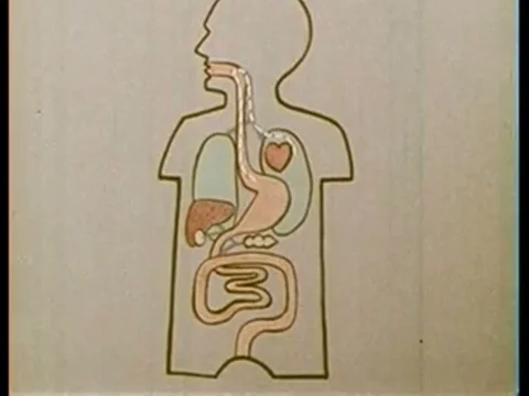 Frog Eggs Cycle Stock Footage ~ Royalty Free Stock Videos | Pond5