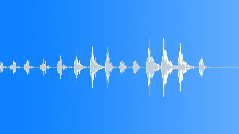 Frog ribbit ~ Sound Effect FX Royalty Free #21513352 | Pond5