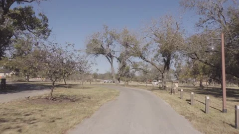 Narrow Front S Stock Videos – Royalty-Free HD & 4K Videos