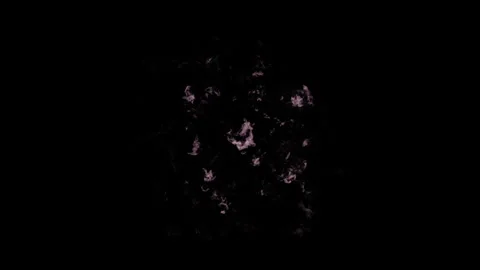 Front-facing shockwave cinematic effect | Stock Video | Pond5