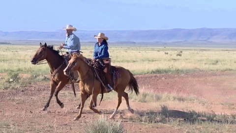 Front view of a dusty scene on a farm in... | Stock Video | Pond5