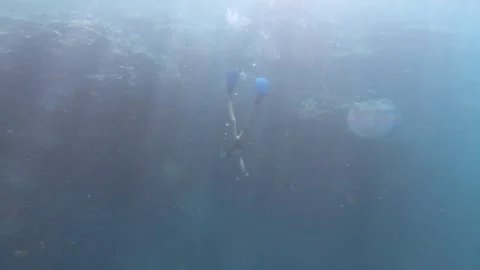 Bikini Freex Stock Videos – Royalty-Free HD & 4K Videos