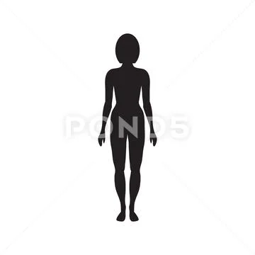 Front view Normal body adult female silhouette Illustration #206902268