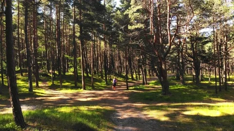 F14C Front View Stock Videos – Royalty-Free HD & 4K Videos | Pond5