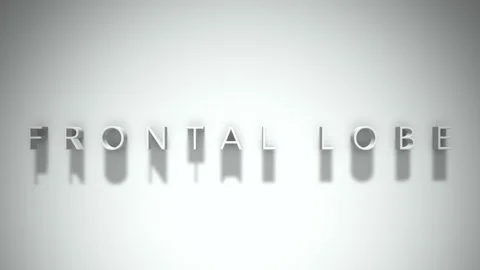 frontal lobe 3D title animation white te... | Stock Video | Pond5
