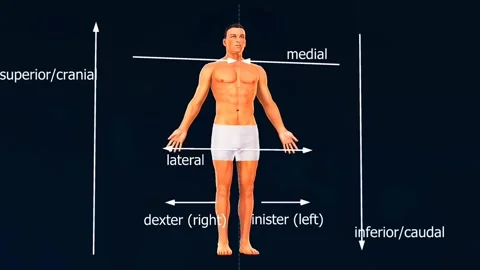 Frontal view of human male body | Stock Video | Pond5