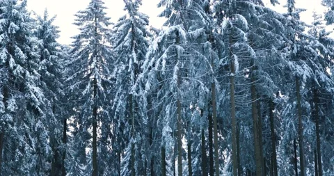 Frosty Winter Background Stock Videos – Royalty-Free HD & 4K Videos