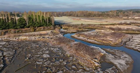 Frosty 5K Stock Videos – Royalty-Free HD & 4K Videos