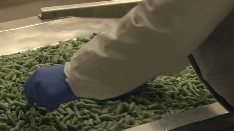 Frozen Food Processing Stock Videos – Royalty-Free HD & 4K Videos