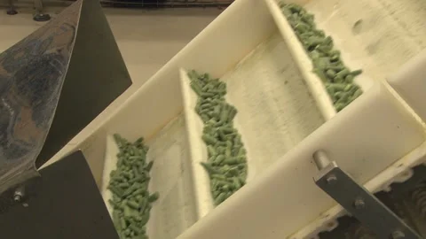 Frozen Food Processing Stock Videos – Royalty-Free HD & 4K Videos
