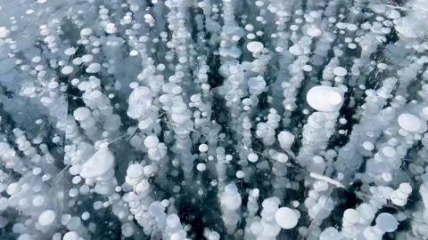 Frozen methane bubbles and cracks in ice... | Stock Video | Pond5