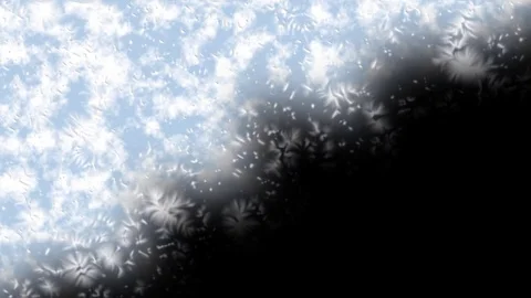 Transitions Wipe Snow Stock Footage ~ Royalty Free Stock Videos | Pond5