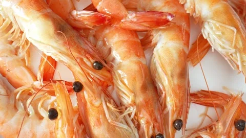 Frozen Shrimp with shell in stunning foo... | Stock Video | Pond5