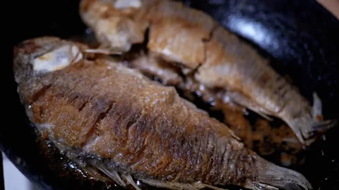 Cast From Wells Stock Videos – Royalty-Free HD & 4K Videos