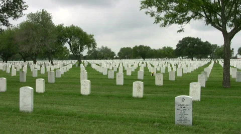 Video Sam Houston Stock Videos – Royalty-Free HD & 4K Videos