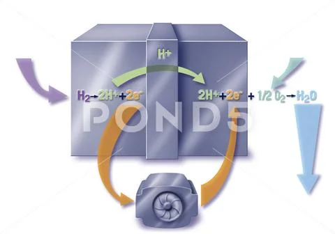 Fuel cell, drawing Fuel cell. Illustration of how a fuel cell works. In ...