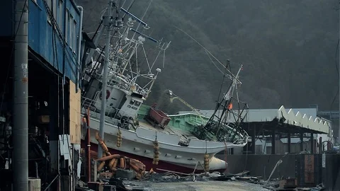 Ran To Stock Videos – Royalty-Free HD & 4K Videos | Pond5