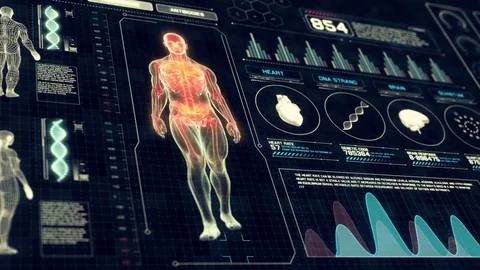 Anatomy Body Stock Video Footage | Royalty Free Anatomy Body Videos | Pond5