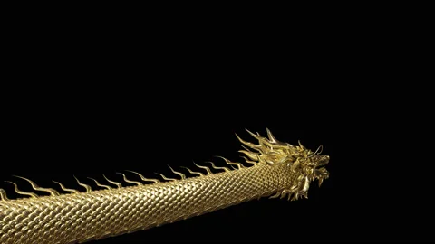 We Full Move Stock Videos – Royalty-Free HD & 4K Videos | Pond5