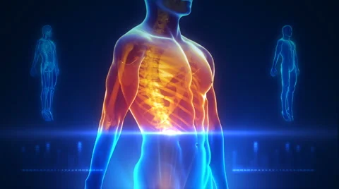 Full body scan blue projection | Stock Video | Pond5