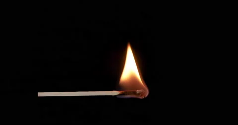 Waxing Full Body Stock Videos – Royalty-Free HD & 4K Videos | Pond5