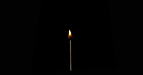 Full Body Shots Stock Videos – Royalty-Free HD & 4K Videos