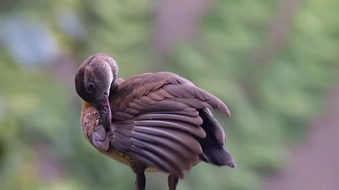 Full Body Shots Stock Videos – Royalty-Free HD & 4K Videos