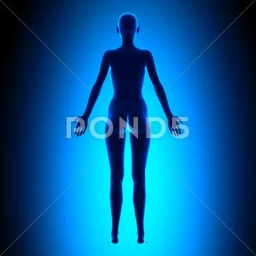 Full female body - back view - blue concept Illustration #44229960