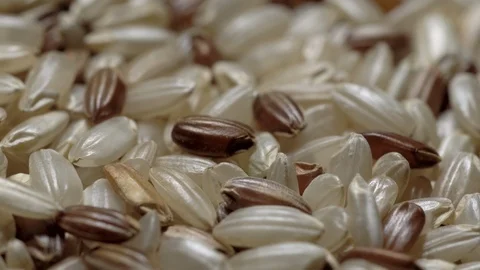 Rice Types Stock Footage ~ Royalty Free Stock Videos | Pond5