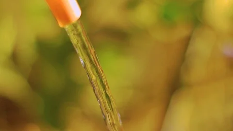 Video H2Dev Full Stock Videos – Royalty-Free HD & 4K Videos